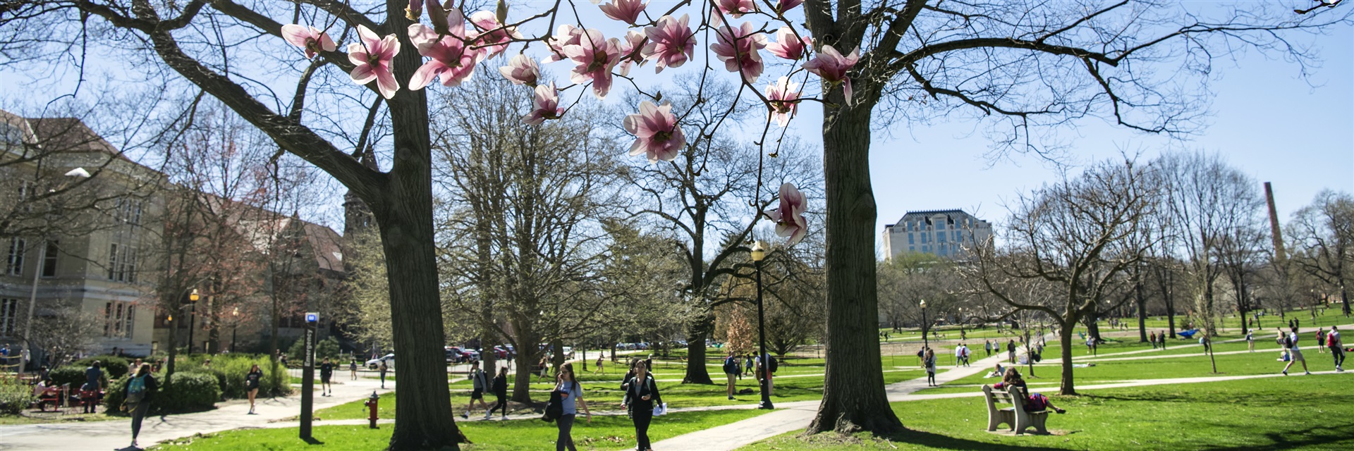 Student Life Finance